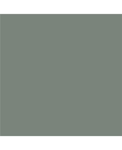 Color NCS - S-0500-N